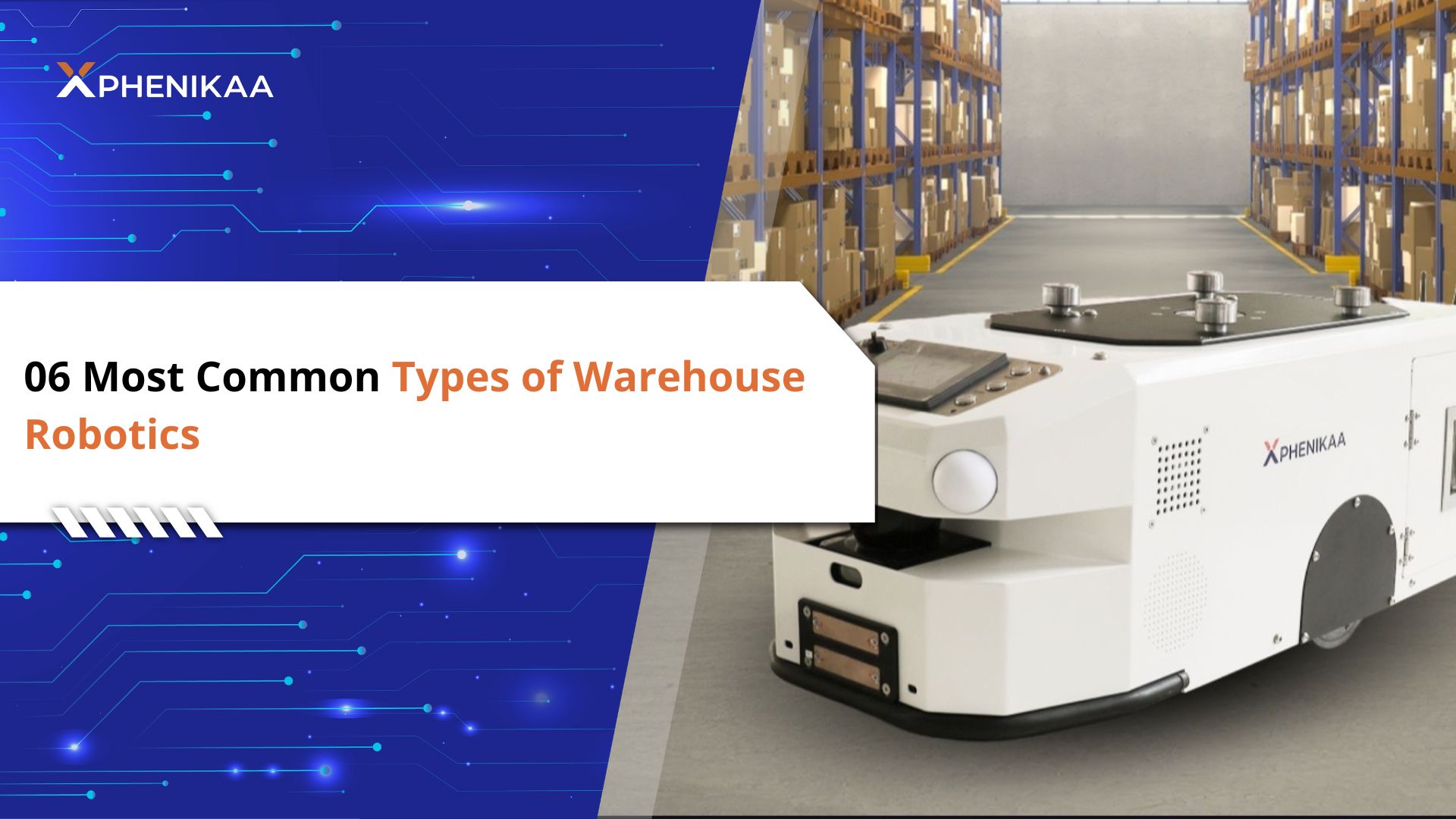 06 most common Types of Warehouse Robotics 2026