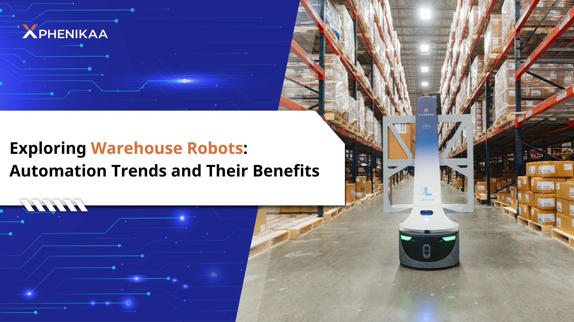 Exploring Warehouse Robots: Automation Trends for 2026